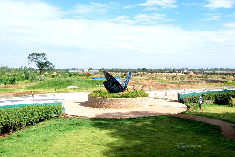 Butterfly park - Digital Trichy